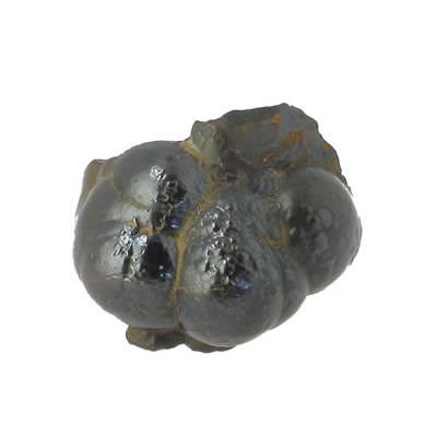 Hématite brute à nodules du Maroc Pierre de Collection - Aromasud
